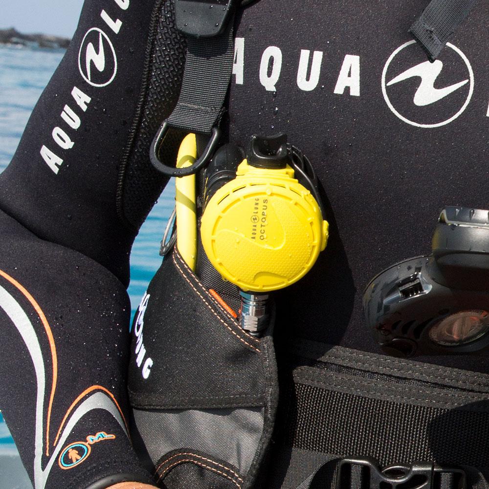 Collections - Scuba Diving In Miami, FL | Best Scuba Diving Classes ...