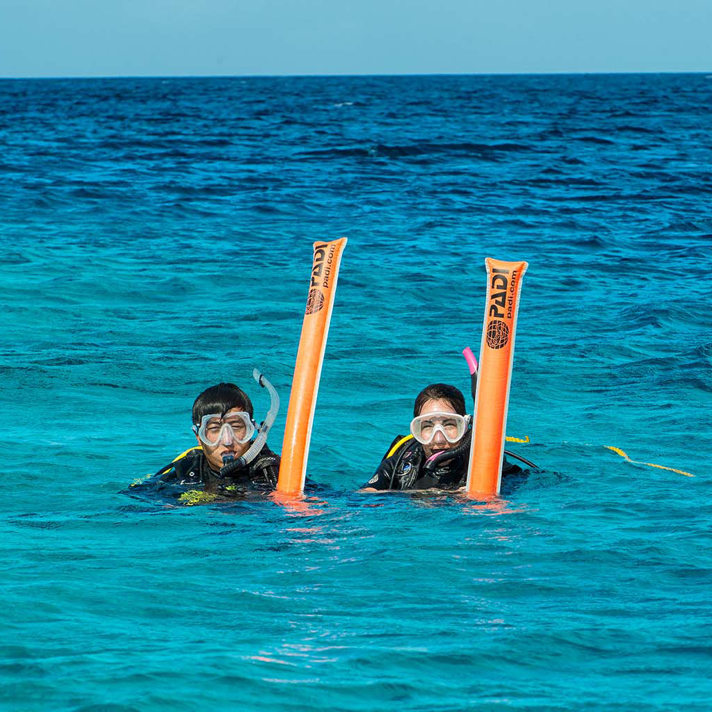 Collections - Scuba Diving In Miami, FL | Best Scuba Diving Classes ...